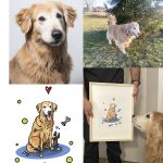 Rayma Suprani – The Art of Cartoons